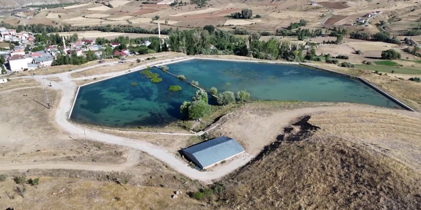 The ancient Roman pool in northeastern Turkuyie, dates back 2,000 years ...